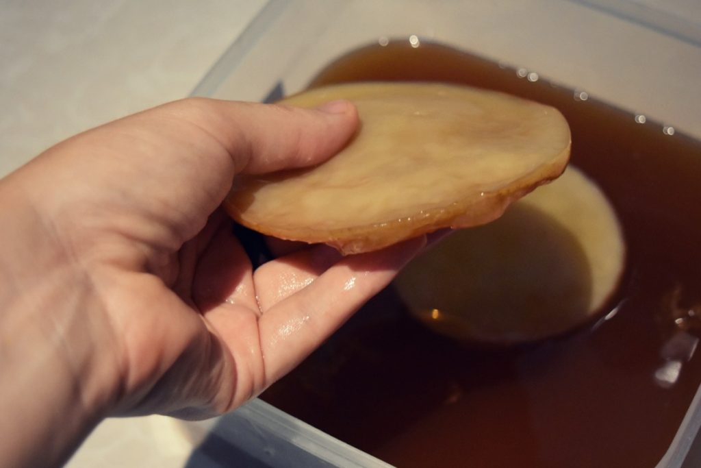 How To Make A Kombucha Scoby From Scratch - EatLove.Live